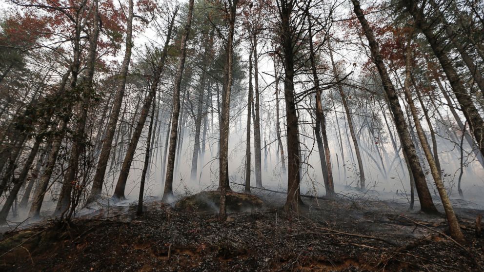 Hundreds Hospitalized, Several Arrested in Southeast Wildfires - ABC11 ...